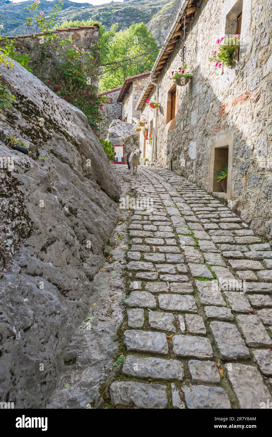 Das Dorf Bulnes im Picos de Europa ist eine der abgelegensten Gemeinden ...