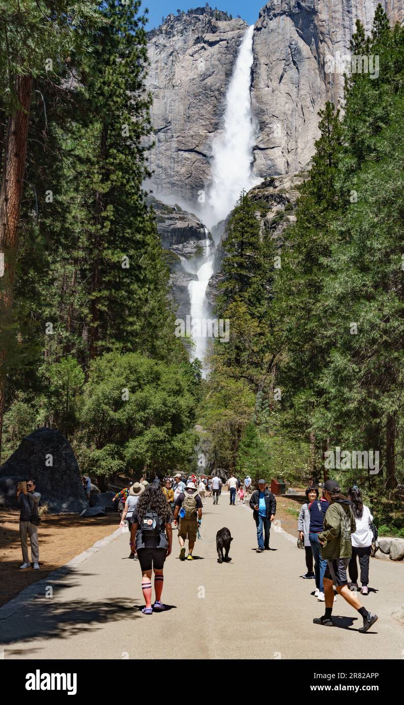 Fotografen yosemite -Fotos und -Bildmaterial in hoher Auflösung – Alamy