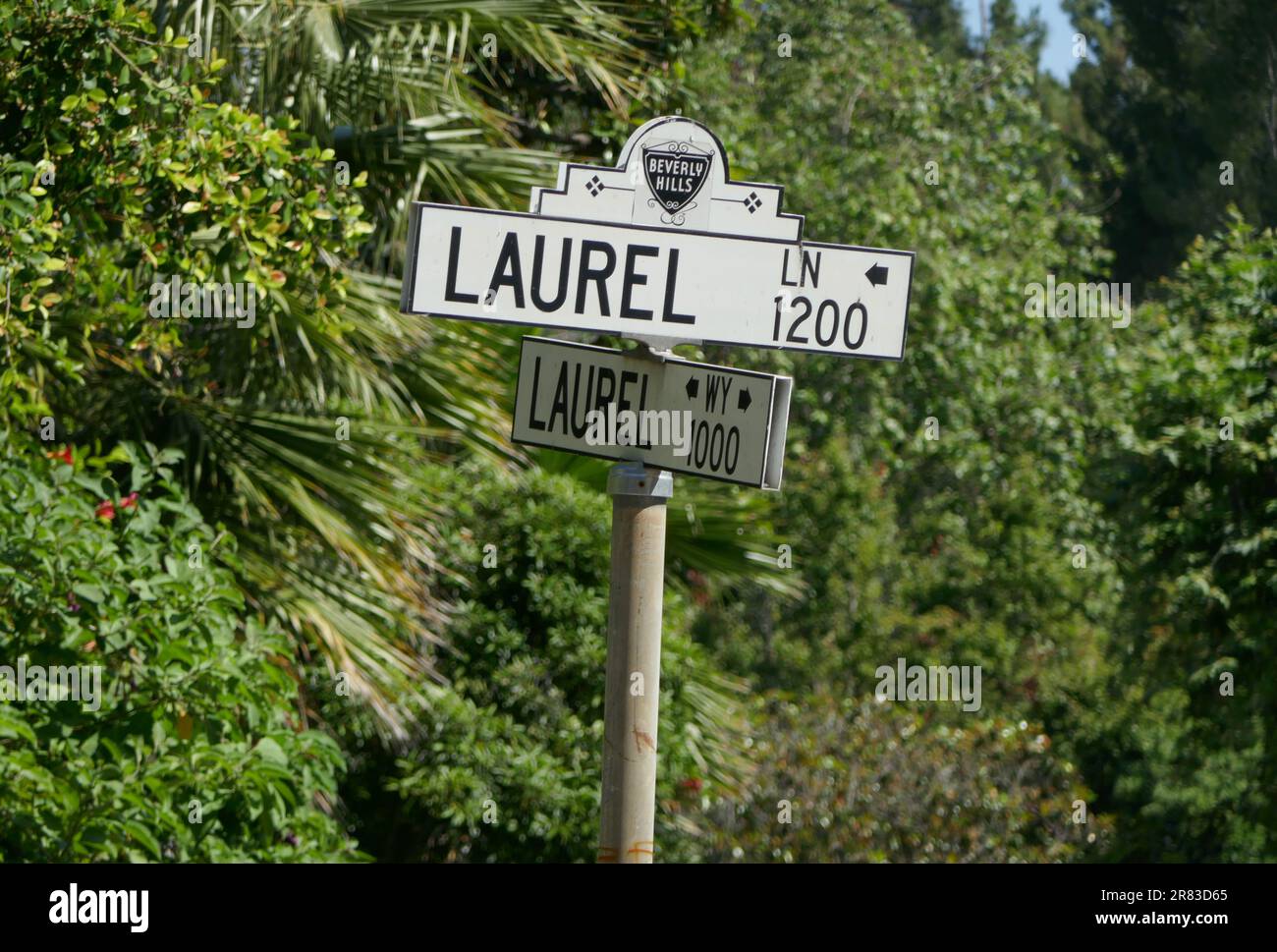 Beverly Hills, Kalifornien, USA 17. Juni 2023 Singer/Musiker/Songwriter ...