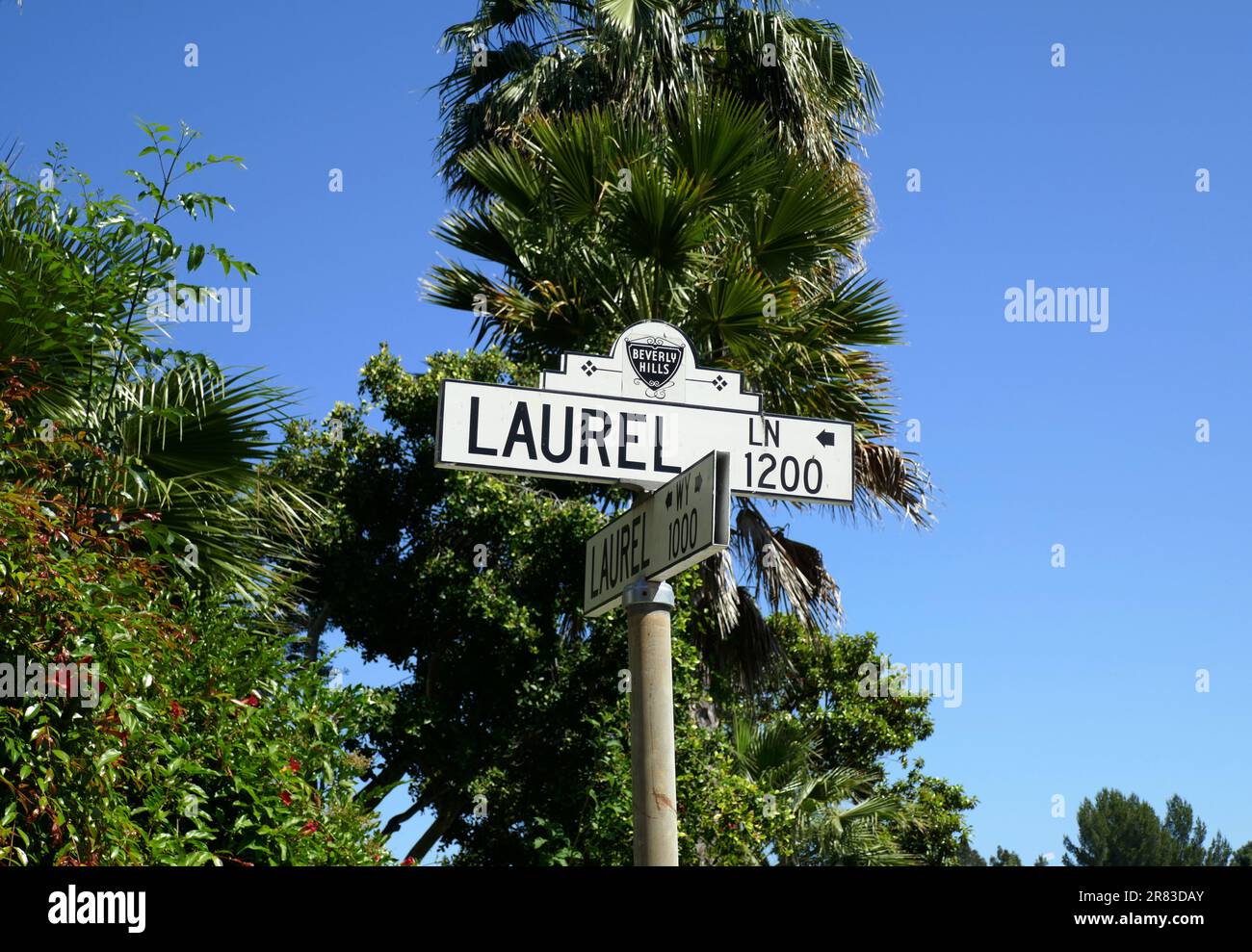 Beverly Hills, Kalifornien, USA 17. Juni 2023 Singer/Musiker/Songwriter ...