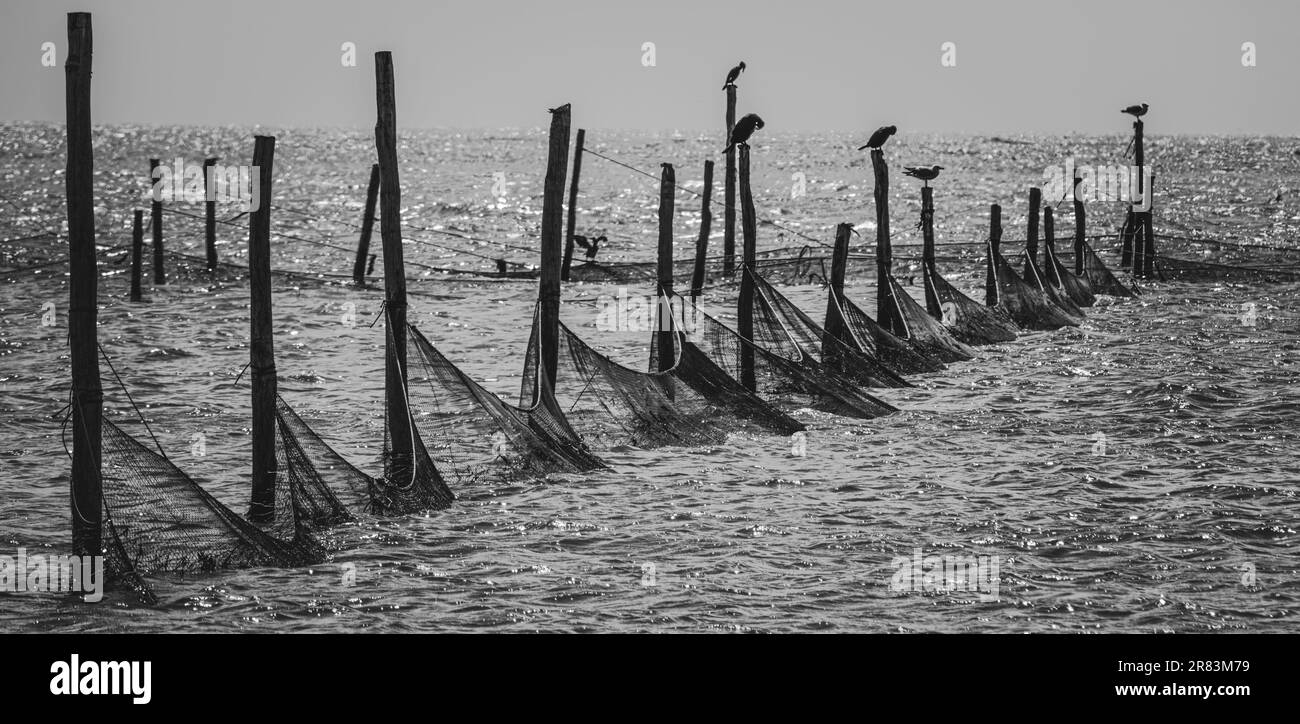Alte fischernetze -Fotos und -Bildmaterial in hoher Auflösung – Alamy
