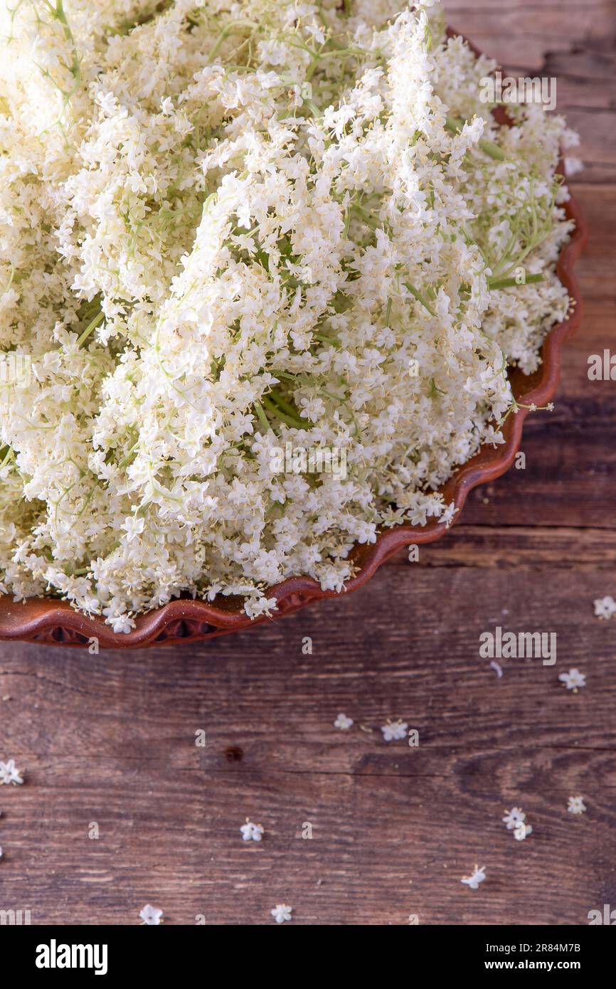 Ältere Blumen. Weißer Blumenstrauch. Ernten von Knospen für die ...