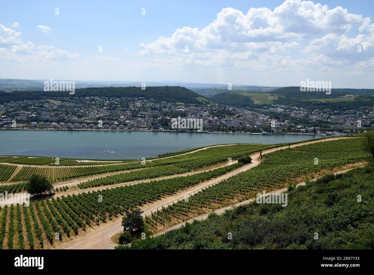 16. Juni 2023/Blick auf die Weinfelder und den rhein Rudesheim und den ...