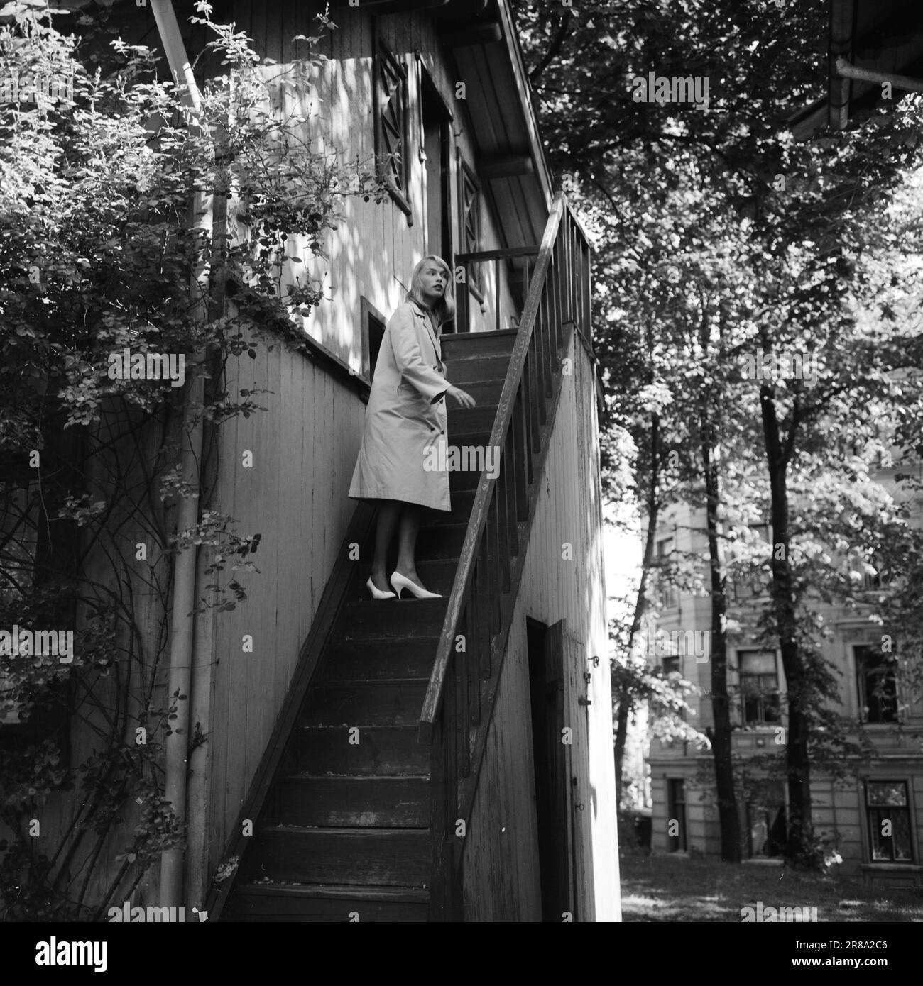 Tatsächlich 28-8-1960: Linie vom Kloster Margrete Robsahm, 18 Jahre alt ...