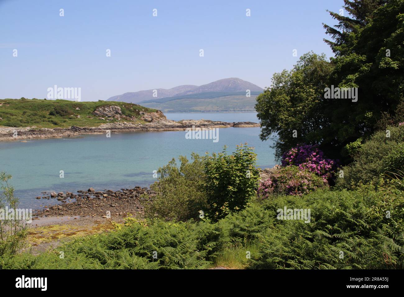 Schottland mull highlands feld -Fotos und -Bildmaterial in hoher ...