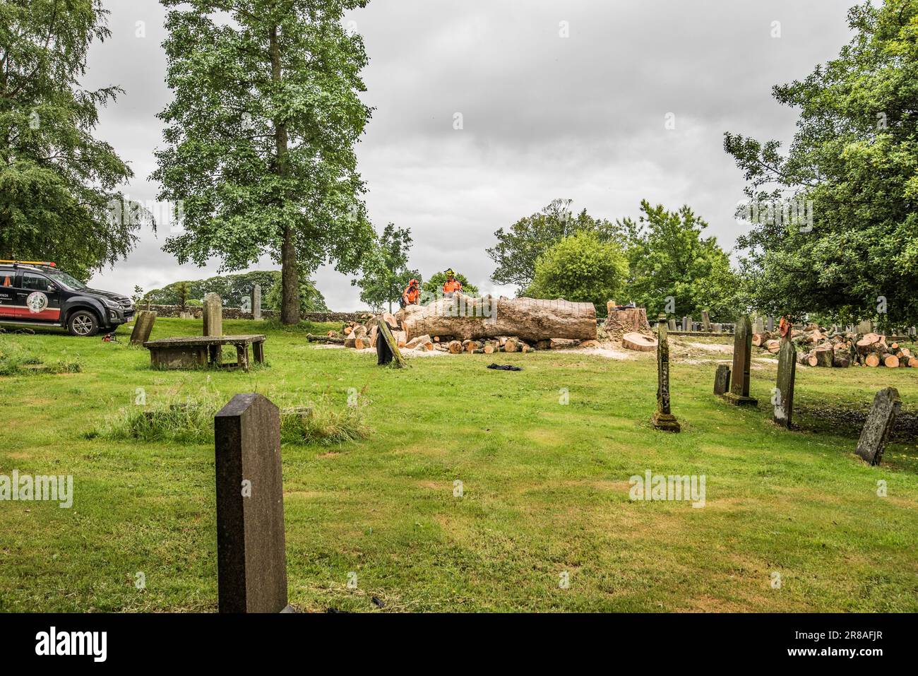 Baumarbeiten baumarbeiten in st marys long preston -Fotos und ...