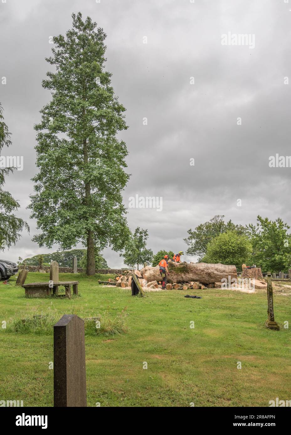 Baumarbeiten baumarbeiten in st marys long preston -Fotos und ...