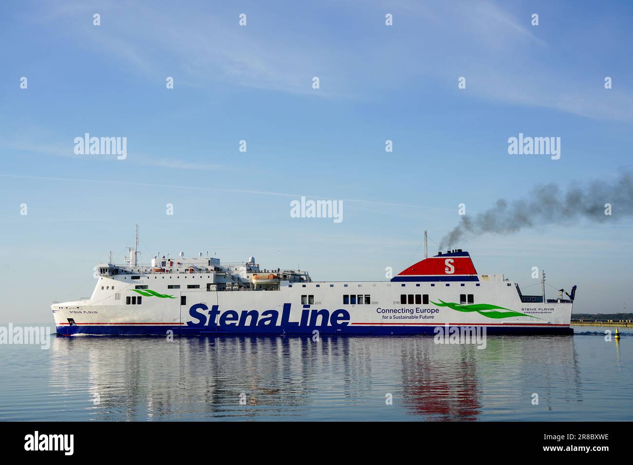 Stena flavia -Fotos und -Bildmaterial in hoher Auflösung – Alamy