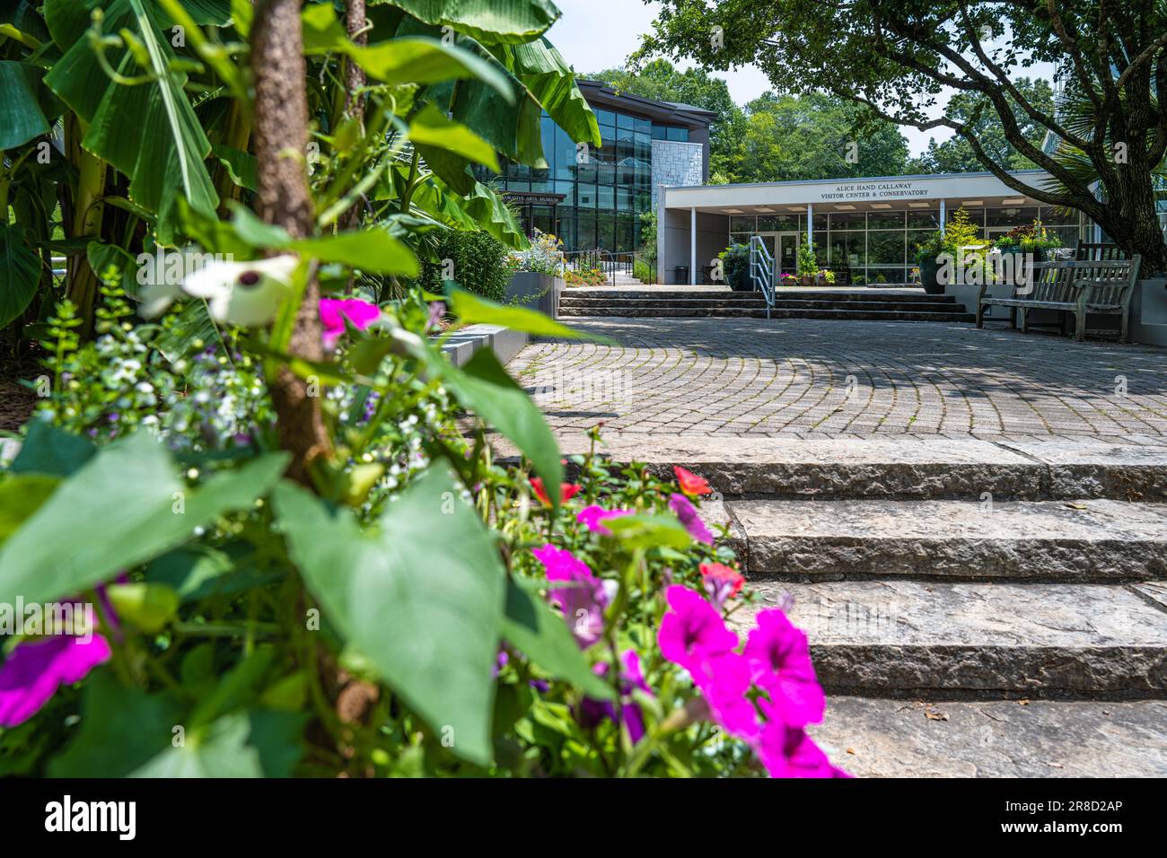 Staatlicher botanischer garten athen -Fotos und -Bildmaterial in hoher Auflösung – Alamy