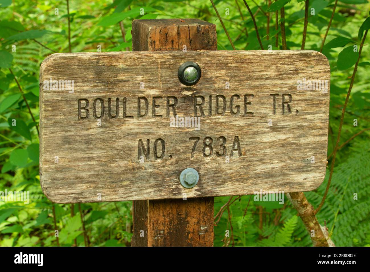 Boulder loop trail -Fotos und -Bildmaterial in hoher Auflösung – Alamy