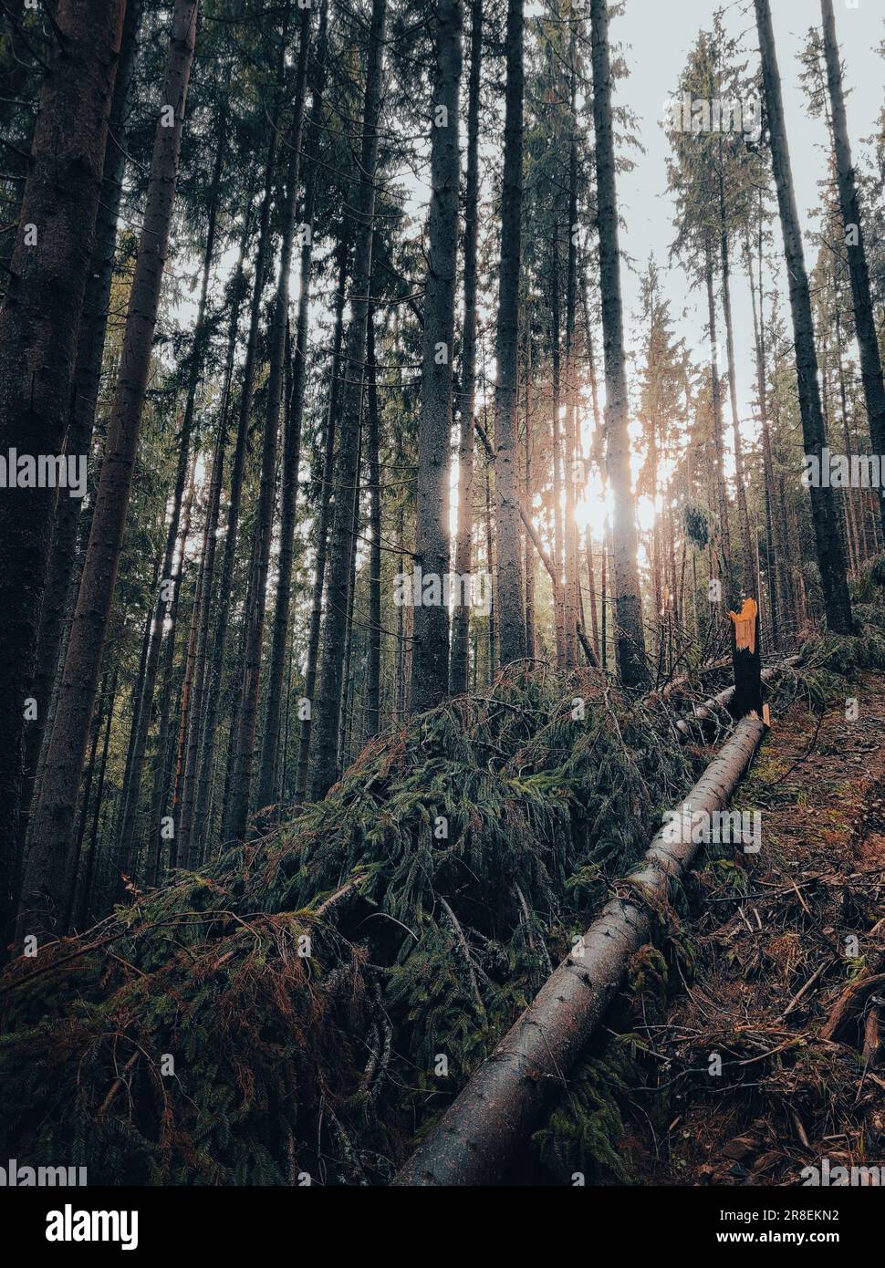 Perfect colours -Fotos und -Bildmaterial in hoher Auflösung – Alamy