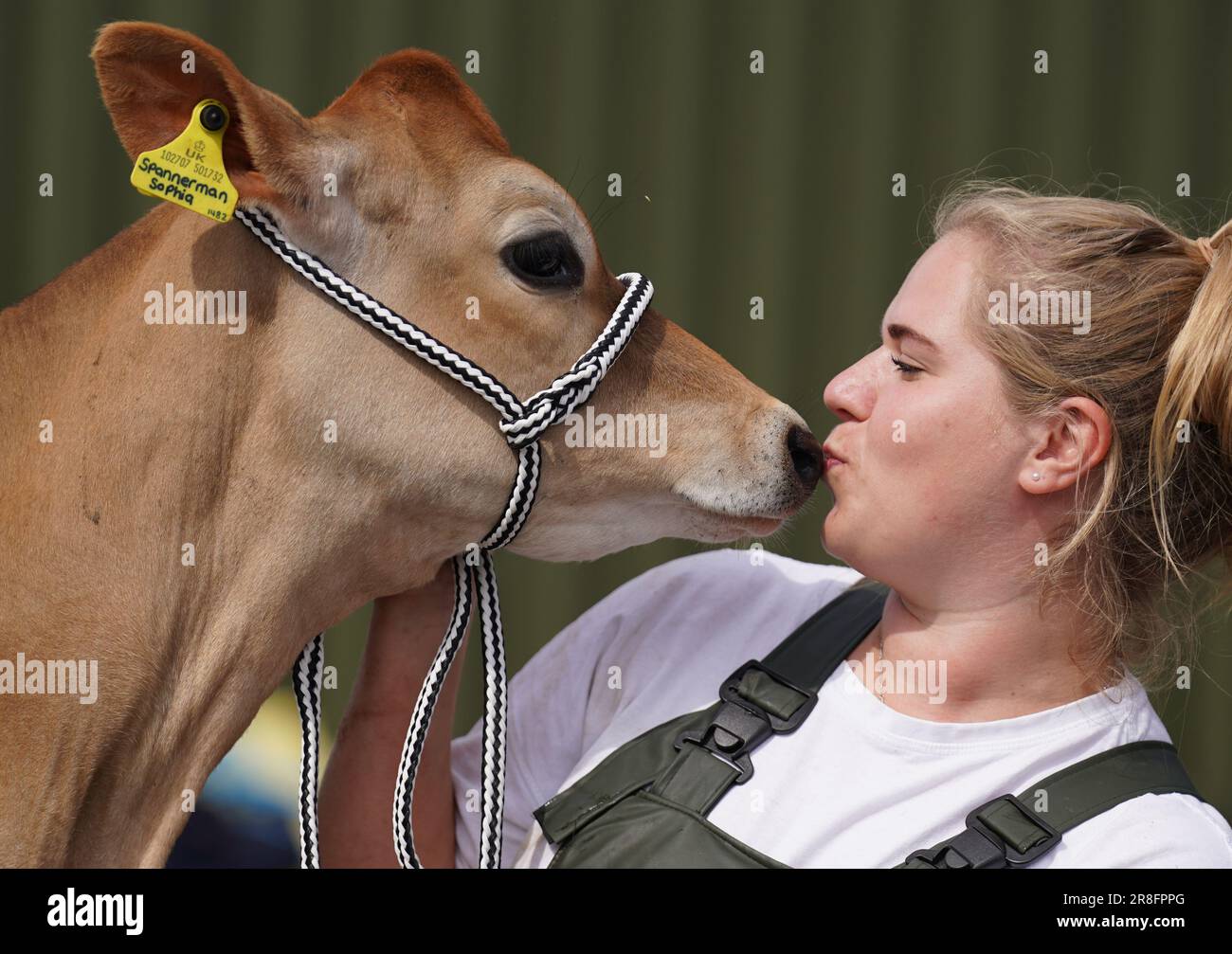 Katherine Jenkinson aus Carlisle mit ihrem Jersey-Kalb in der ...