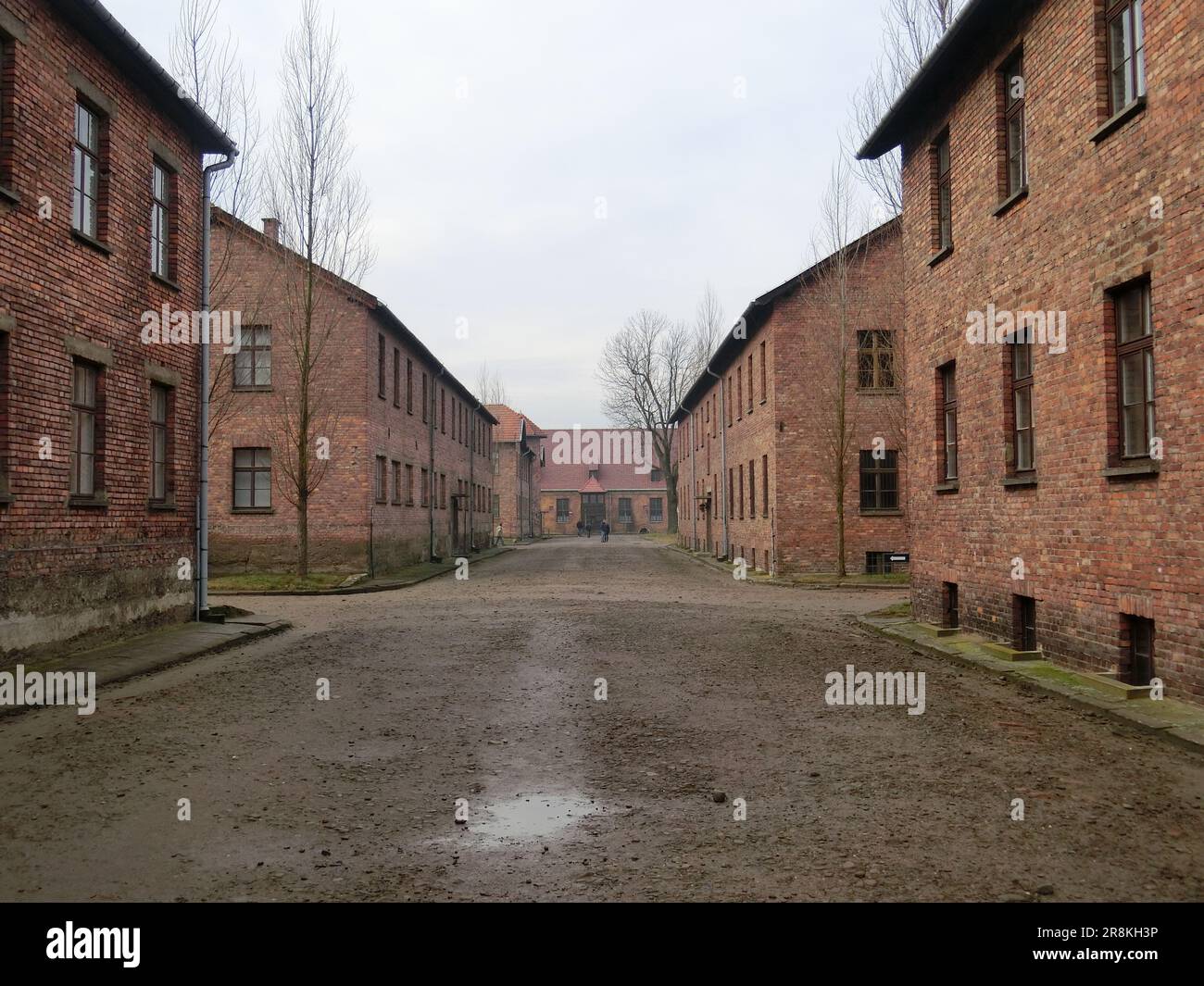 Auschwitz krakau -Fotos und -Bildmaterial in hoher Auflösung – Alamy