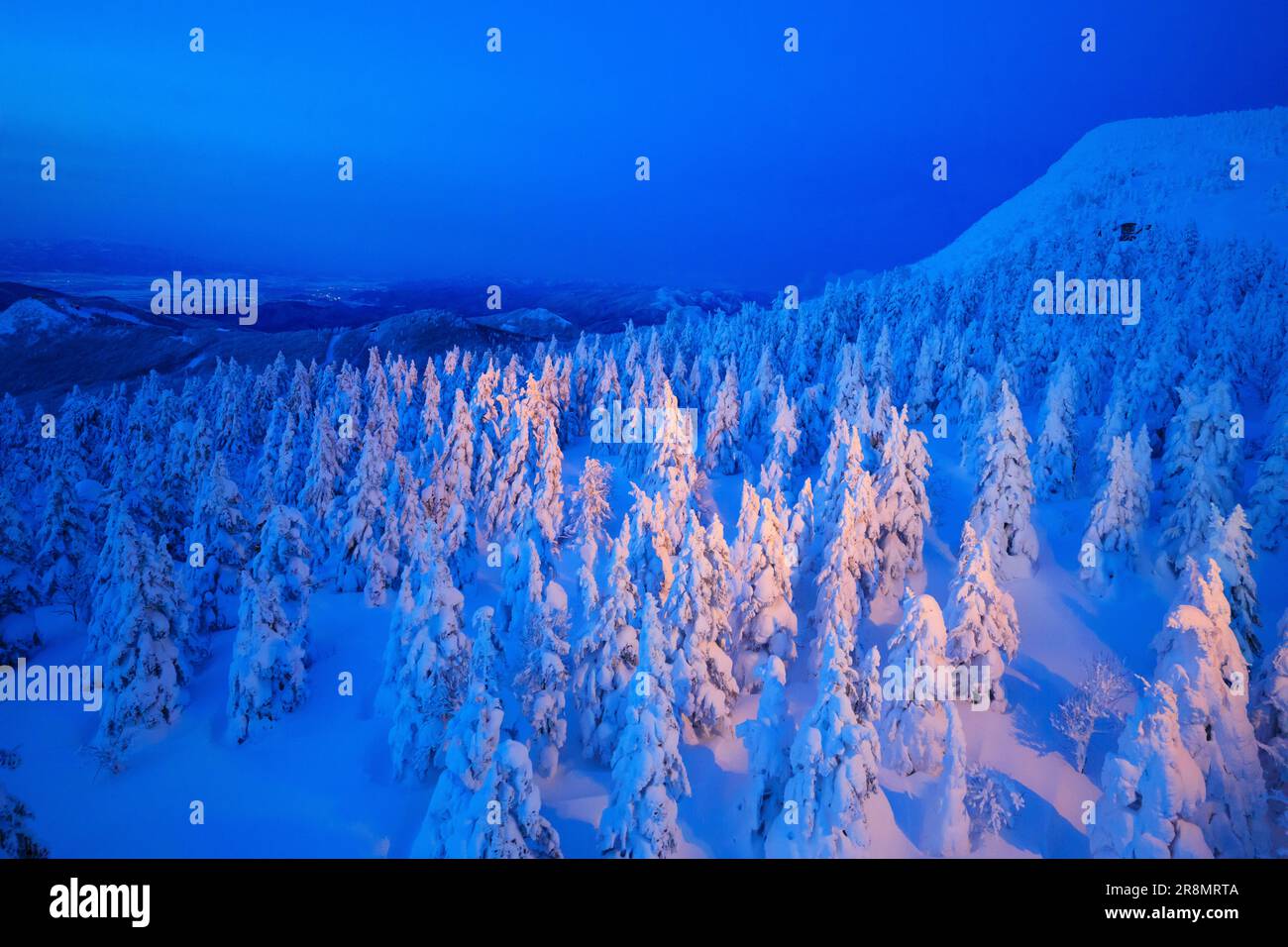 Juhyo aufleuchten -Fotos und -Bildmaterial in hoher Auflösung – Alamy