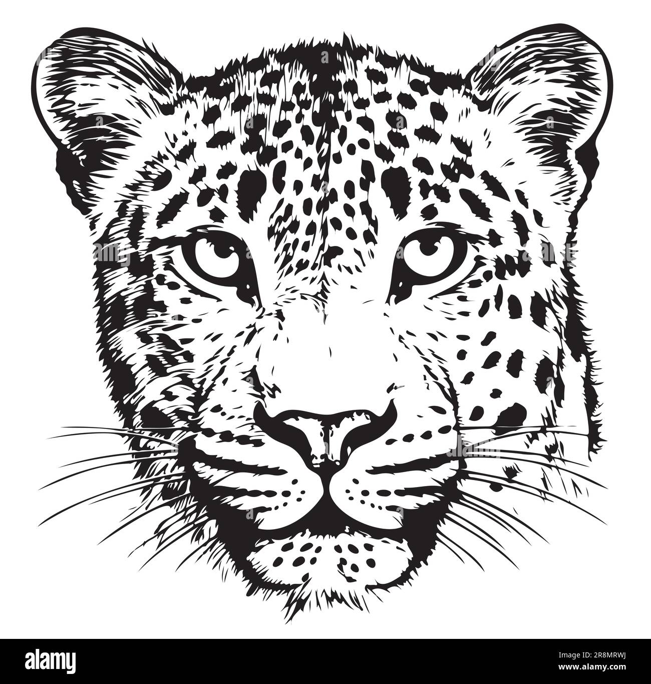 Leopardenkopf-Skizze handgezeichnete Vektorzeichnung wilde Tiere Stock ...