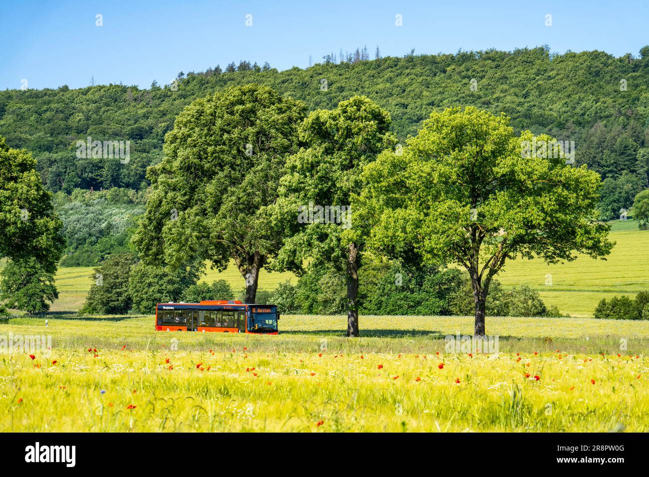 Landstraße zwischen Hirschberg und Warstein, örtlicher Bus, öffentliche ...