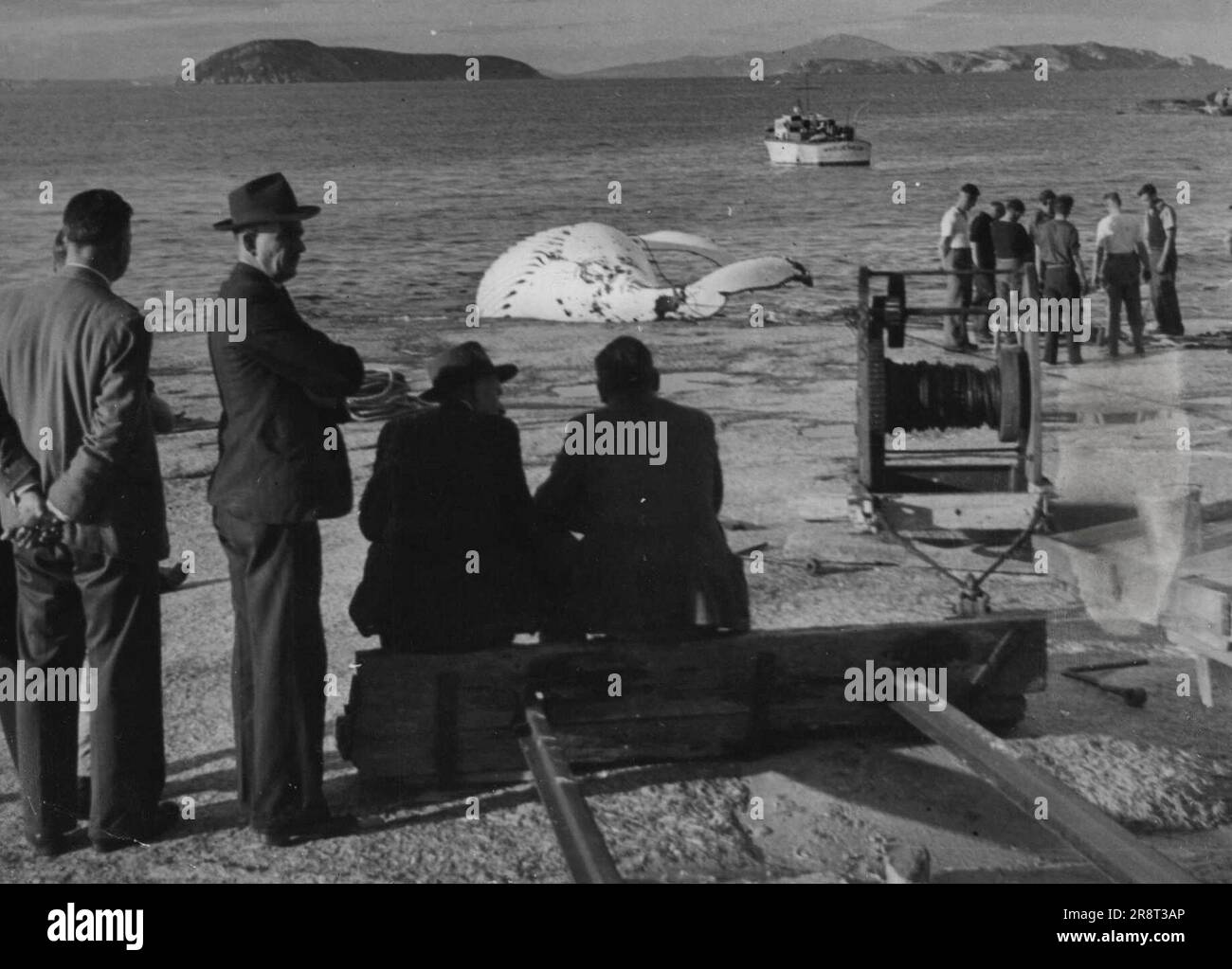 Eden far davidson walfangstation -Fotos und -Bildmaterial in hoher ...