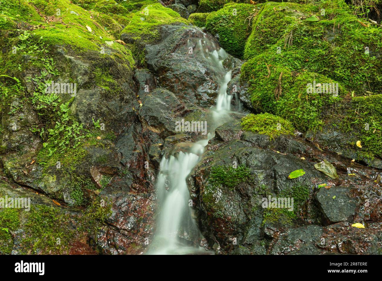 Shimanto river -Fotos und -Bildmaterial in hoher Auflösung – Alamy