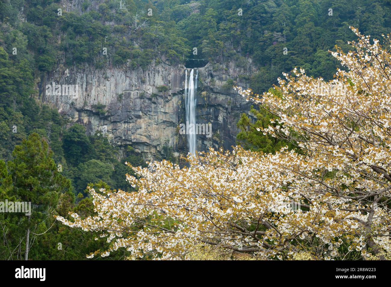 Nachi fällt -Fotos und -Bildmaterial in hoher Auflösung – Alamy