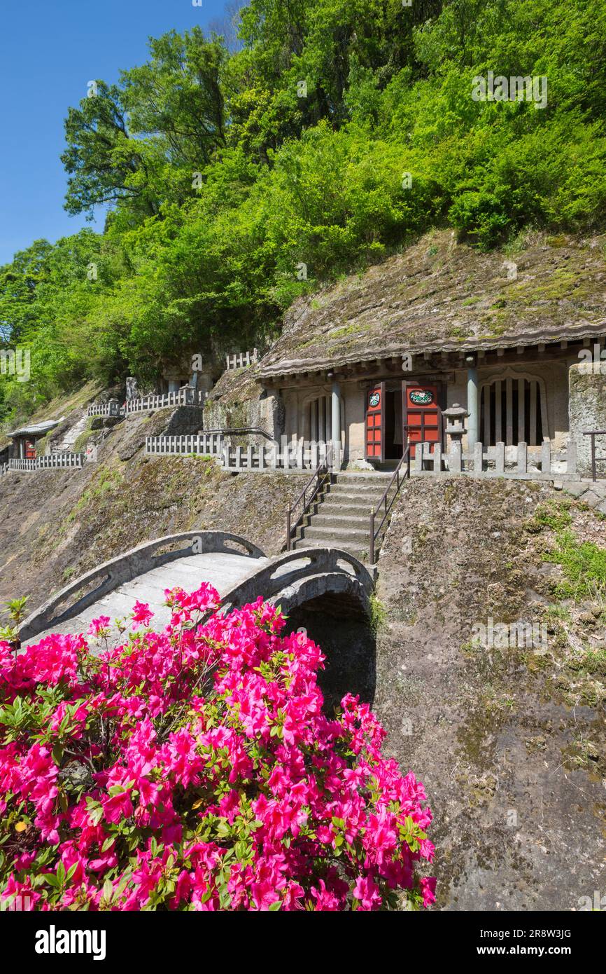 Hon chung -Fotos und -Bildmaterial in hoher Auflösung – Alamy