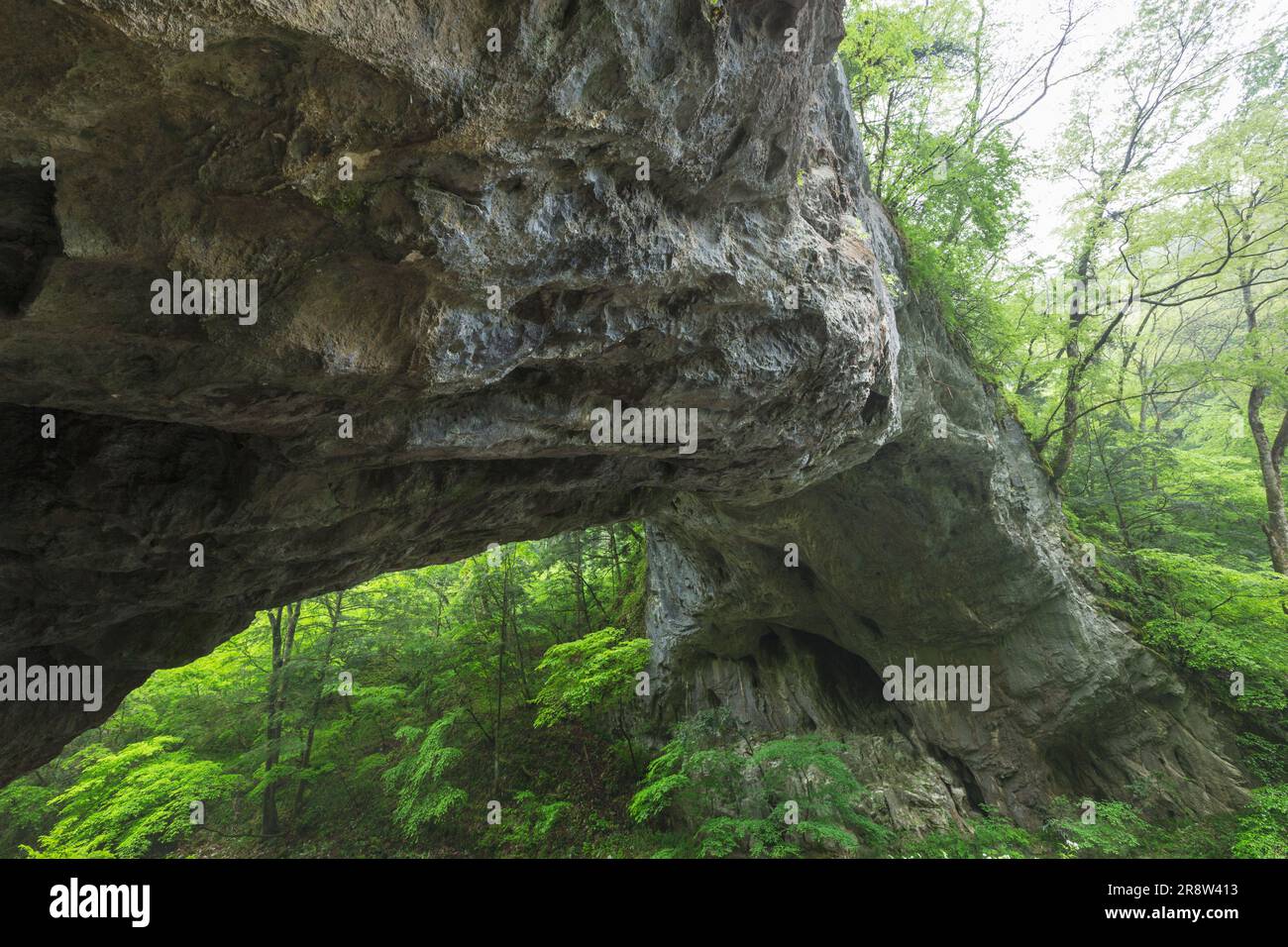 Tang valley -Fotos und -Bildmaterial in hoher Auflösung – Alamy