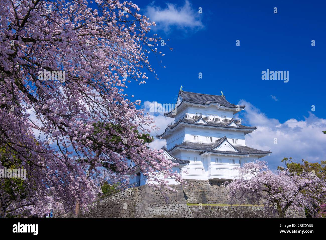 Odawara schloss in japan -Fotos und -Bildmaterial in hoher Auflösung ...