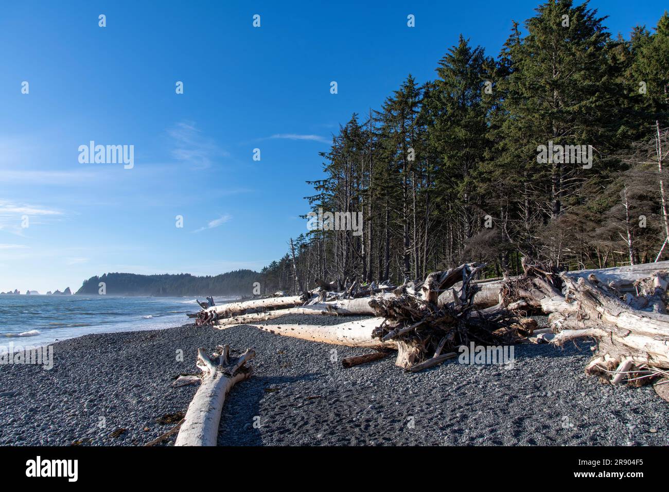 Blick über den langen Strand von Kalaloch an der Küste des Olympic ...