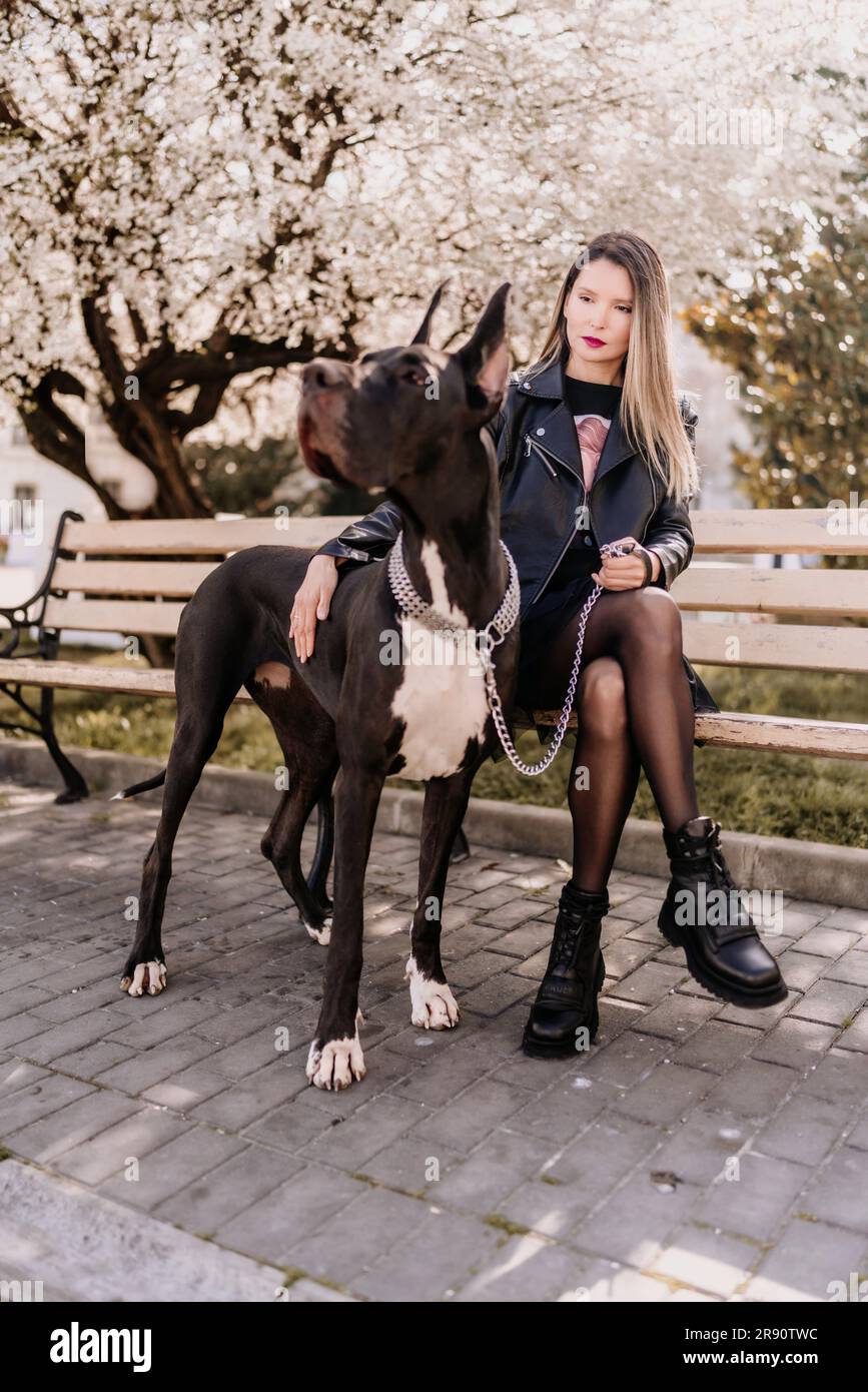 Eine Frau geht mit ihrer Dogge in einer urbanen Umgebung spazieren und ...