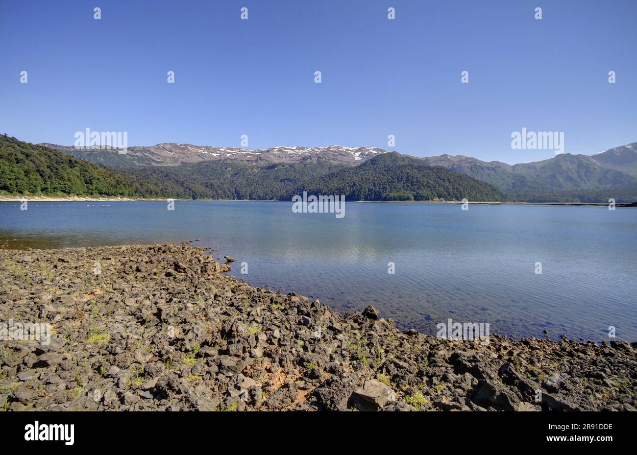 Conguillo nationalpark -Fotos und -Bildmaterial in hoher Auflösung – Alamy