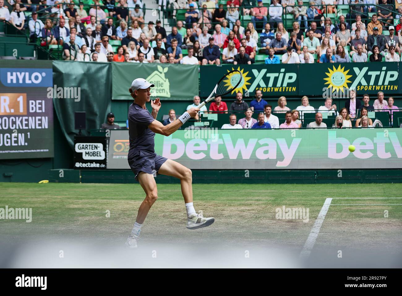 Jannik sinner rasentennis -Fotos und -Bildmaterial in hoher Auflösung - Seite 2 - Alamy
