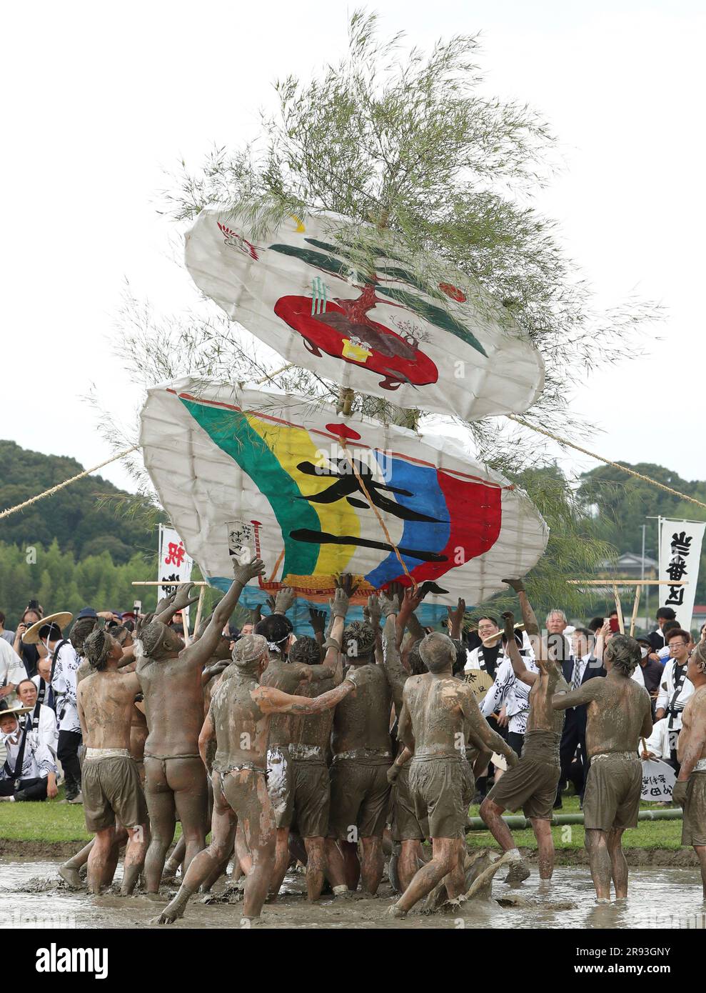 Izawa-no-miya Otaue-shiki, literally rice planting ritual, is held at ...
