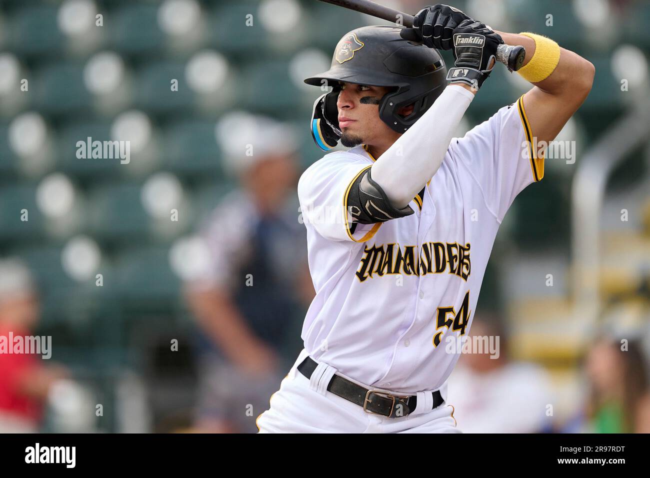Bradenton Marauders Jesus Castillo (54) bats during a MiLB Florida ...