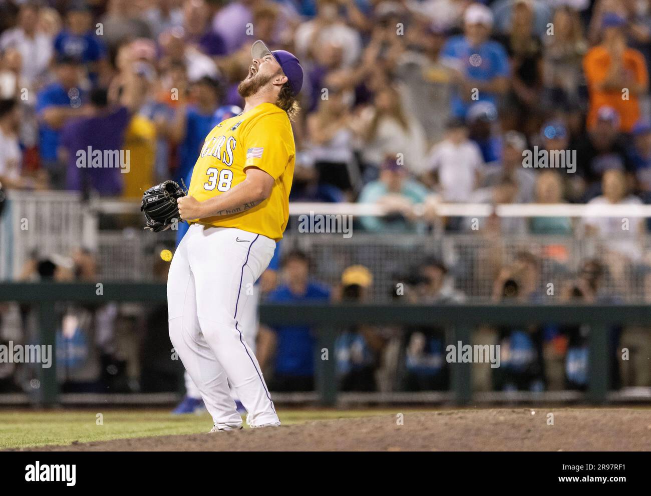LSU closing pitcher Riley Cooper celebrates after the final out of a ...