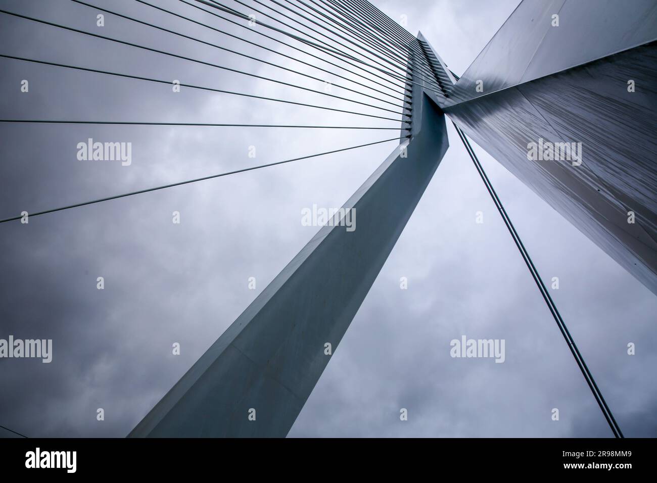 Erasmus-Brücke über Maas oder Maas in Rotterdam, der zweitgrößten Stadt ...