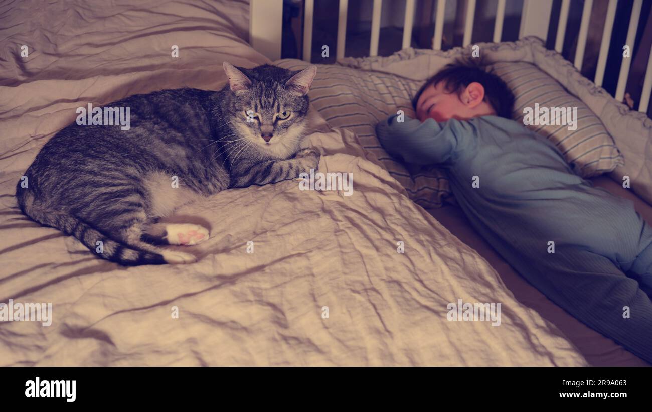 Die Katze beschützt den Schlaf des Kindes. Das Haustier sitzt neben dem ...