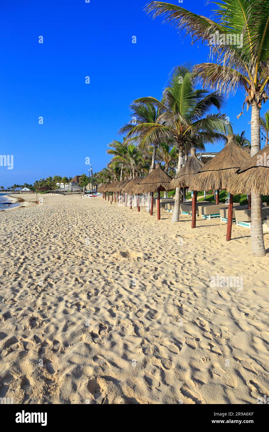 Akumal trail -Fotos und -Bildmaterial in hoher Auflösung – Alamy