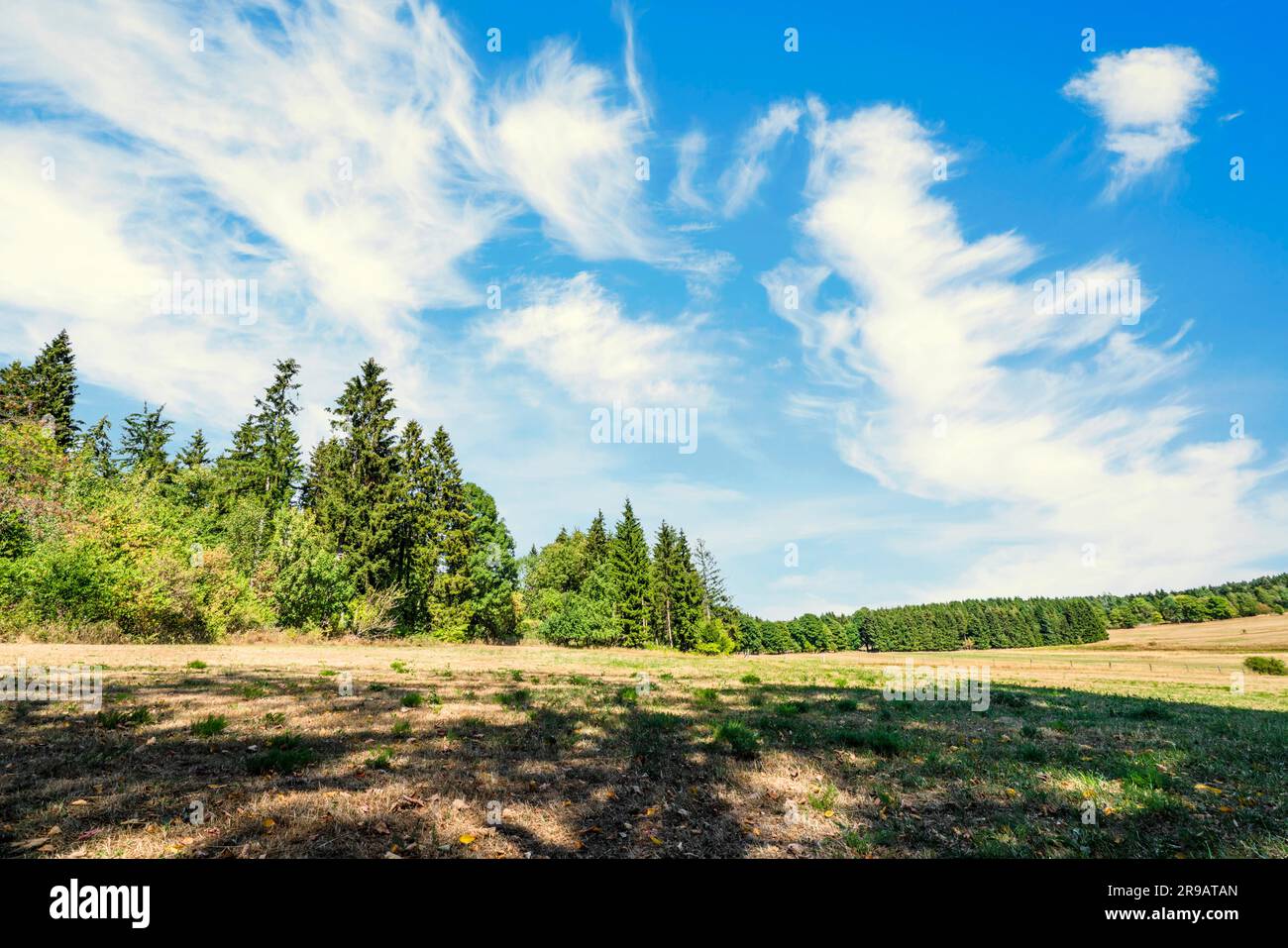 Deutschland sommer landschaft -Fotos und -Bildmaterial in hoher ...