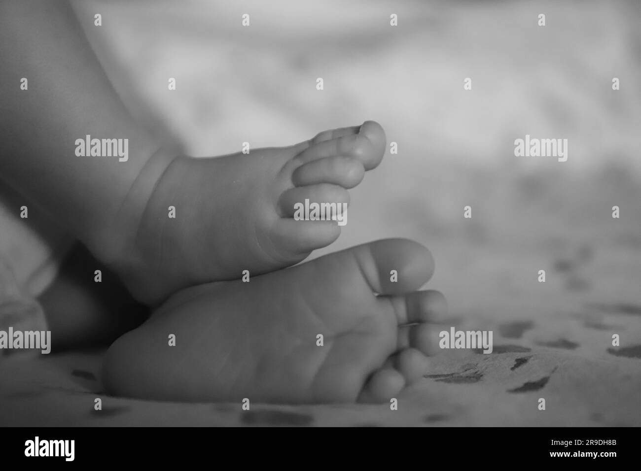 9 monat schwanger -Fotos und -Bildmaterial in hoher Auflösung – Alamy