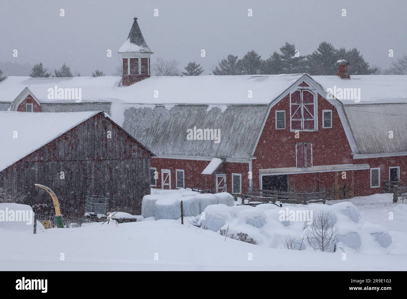 Wheelock farm -Fotos und -Bildmaterial in hoher Auflösung – Alamy