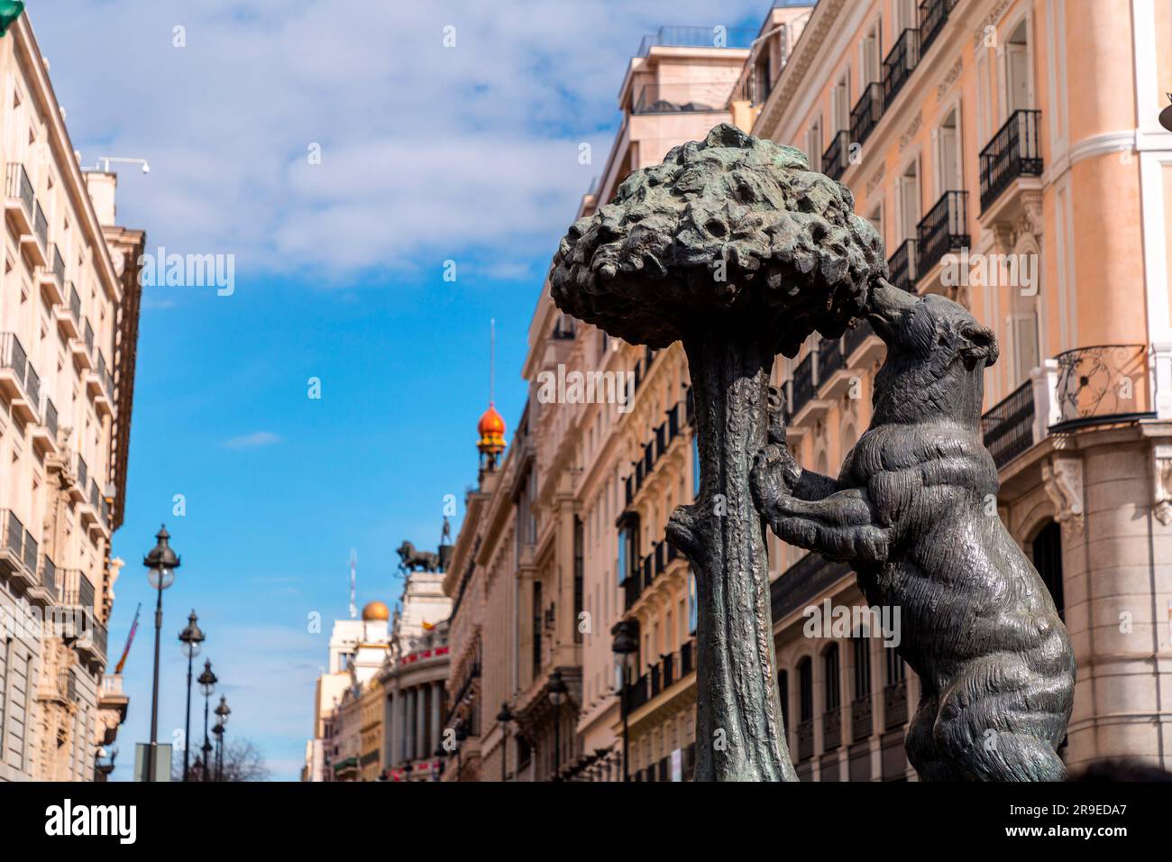 El oso y madrono -Fotos und -Bildmaterial in hoher Auflösung – Alamy