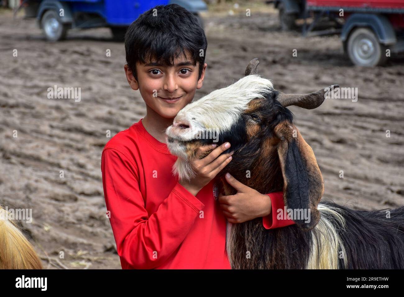 Muslime feiern opferfest -Fotos und -Bildmaterial in hoher Auflösung ...