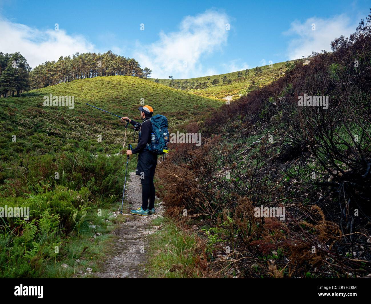 Camino primitivo -Fotos und -Bildmaterial in hoher Auflösung – Alamy
