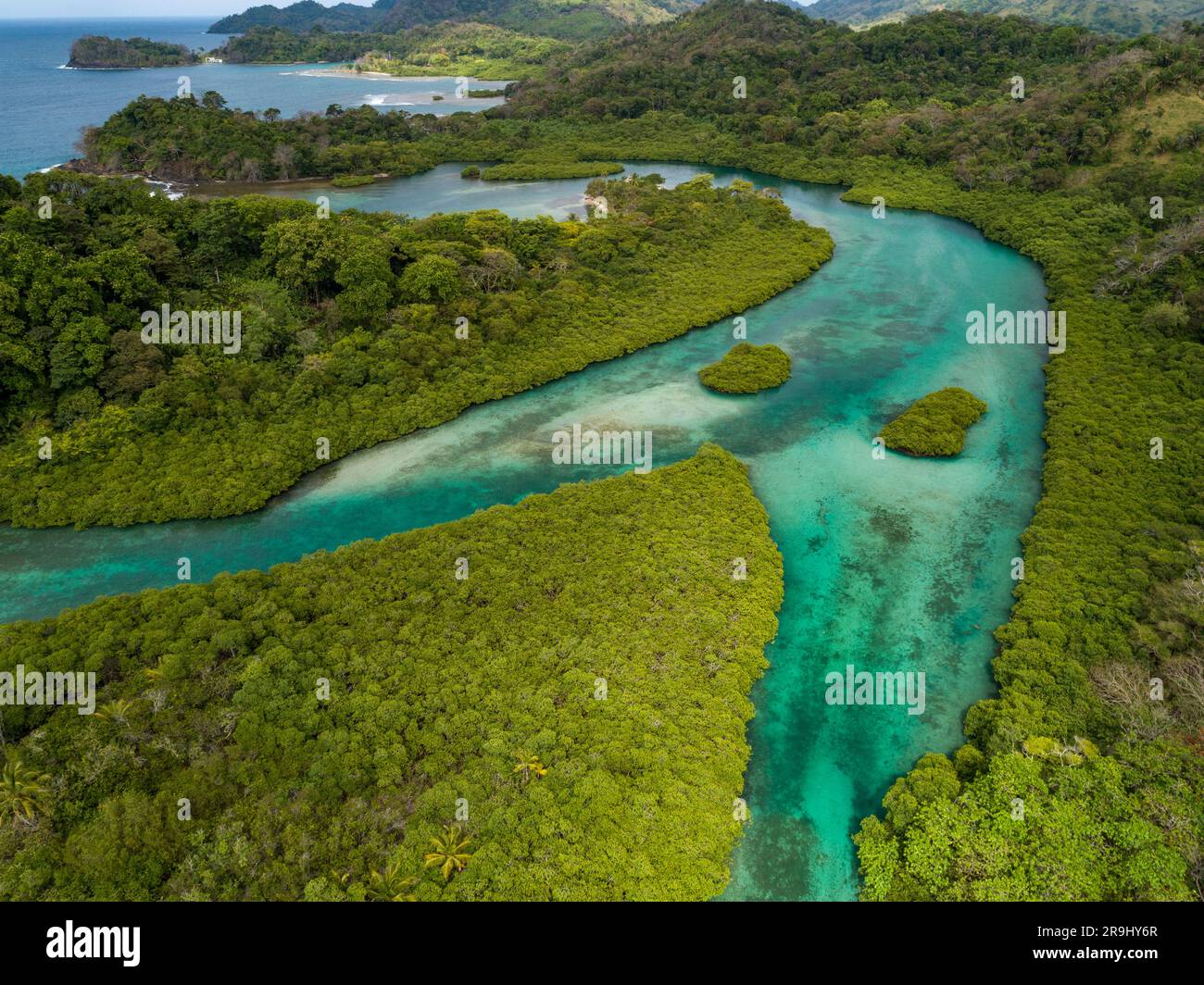 Venas azules -Fotos und -Bildmaterial in hoher Auflösung – Alamy