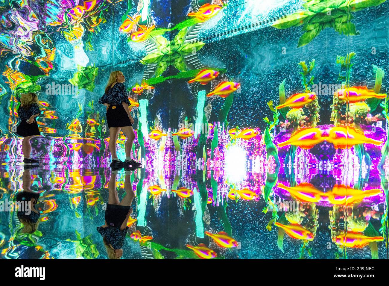 Sam nouri -Fotos und -Bildmaterial in hoher Auflösung – Alamy