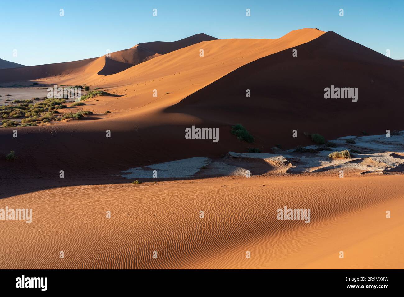 Rote Sanddünen, Sossusvlei, Namib-Naukluft-Nationalpark, Namibia. Die ...