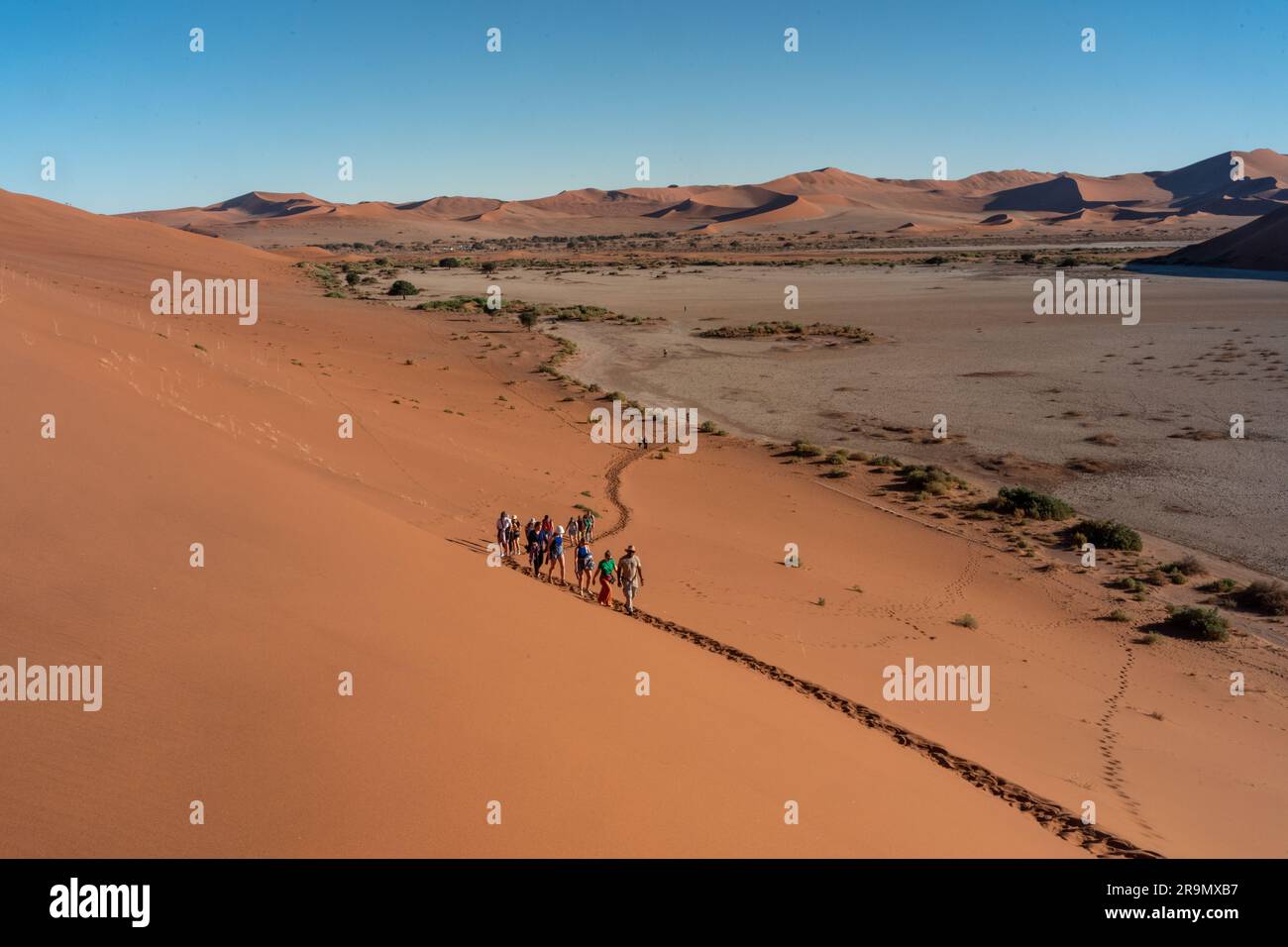 Rote Sanddünen, Sossusvlei, Namib-Naukluft-Nationalpark, Namibia. Die ...