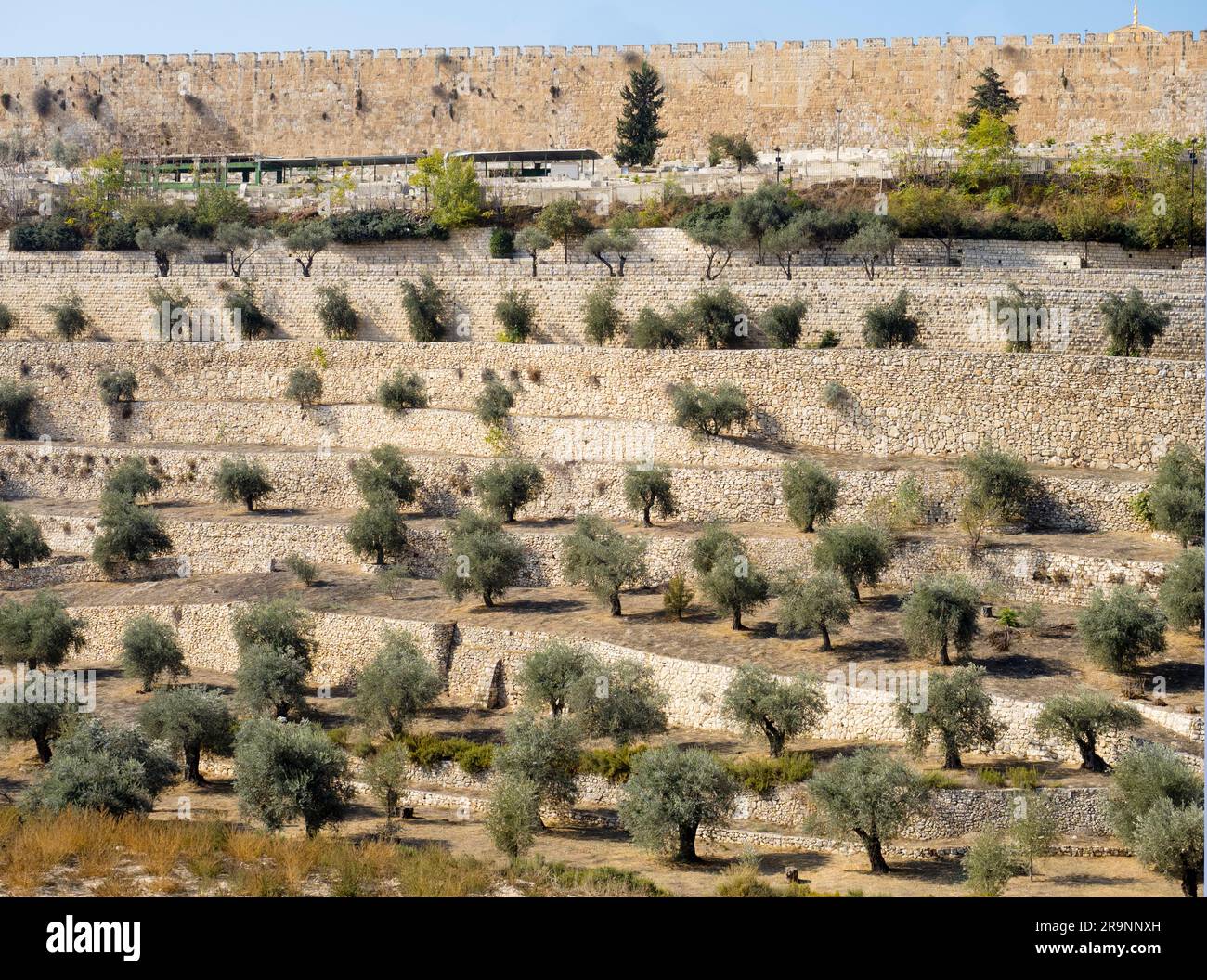 Yerushalayim (Jerusalem) ist eine der ältesten Städte der Welt und hat ...