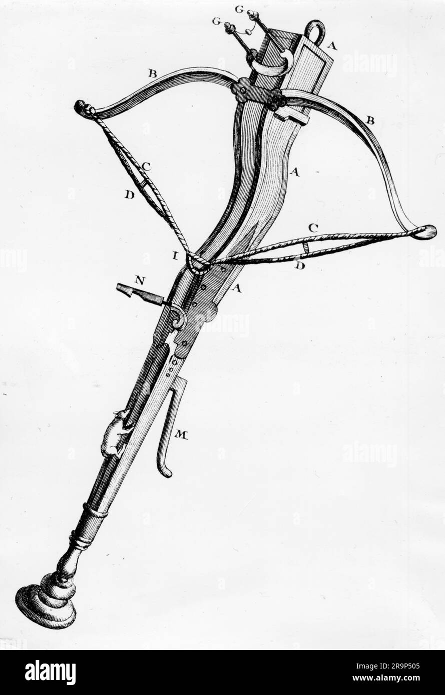 Waffen armbrust -Fotos und -Bildmaterial in hoher Auflösung – Alamy