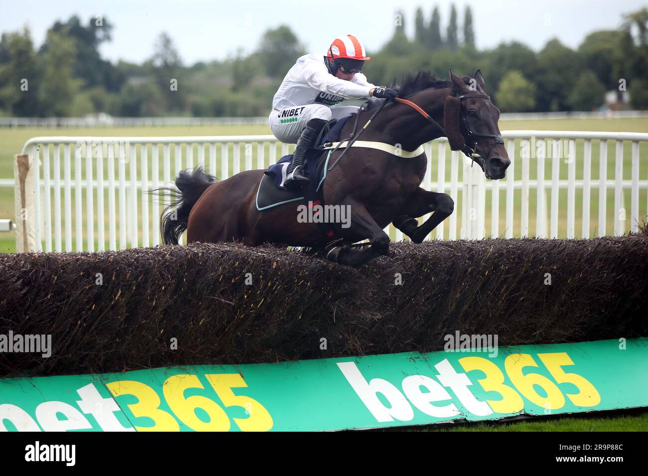 Der Jockey Nico de Boinville gewinnt bei den Worcester Races die FBC ...