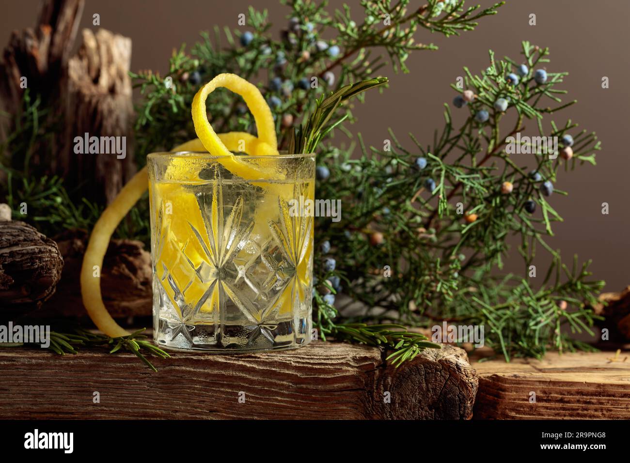 Cocktail Gin Tonic mit Eis, Zitrone und Rosmarin in einem Kristallglas ...